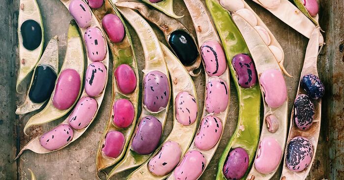 70 Captivating Gradient Photos Of Ordinary Items By Brittany Wright ...