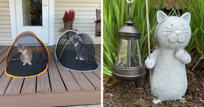 These 44 Fabulous Finds Will Make You Want To Live In Your Backyard ...