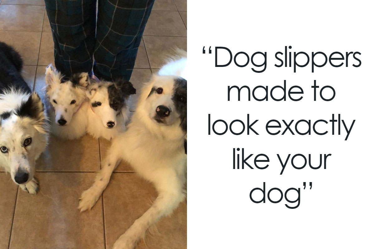 “Awful Taste, But Great Execution”: 50 Funny Times People With No Taste ...