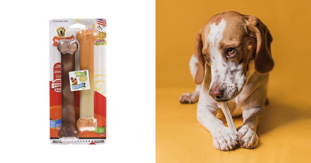 The Best Bones For Dogs, According To Vet | Bored Panda