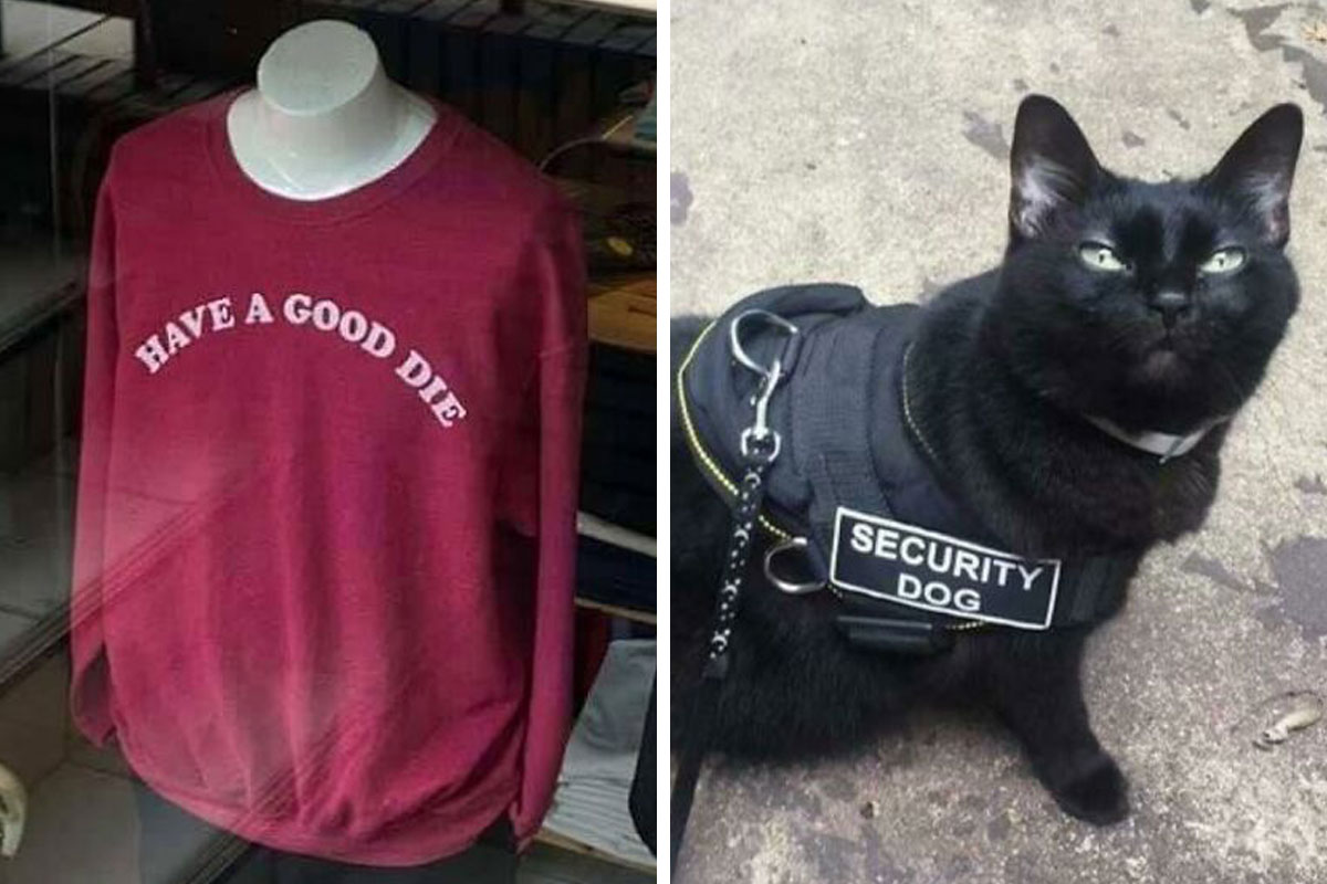 50 Of The Best ‘You Had One Job’ Fails Of All Time | Bored Panda