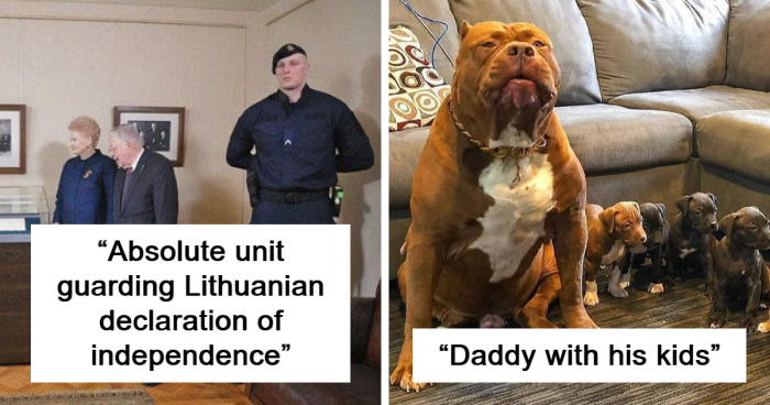 Oh Lord, He Comin’: 50 ‘Absolute Units’ That Shook The Net (Best Of All ...