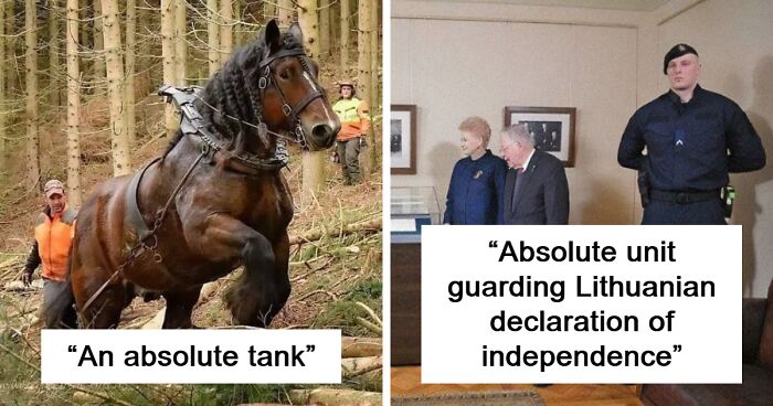 Oh Lord, He Comin’: 50 ‘Absolute Units’ That Shook The Net (Best Of All ...