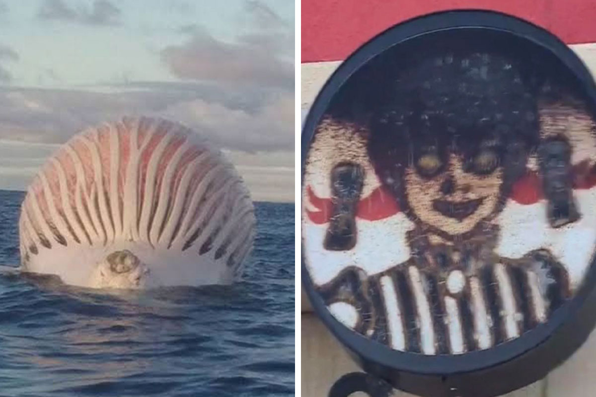 50 “Oddly Terrifying” Posts That Are Not For The Fainthearted (New Pics) | Bored Panda