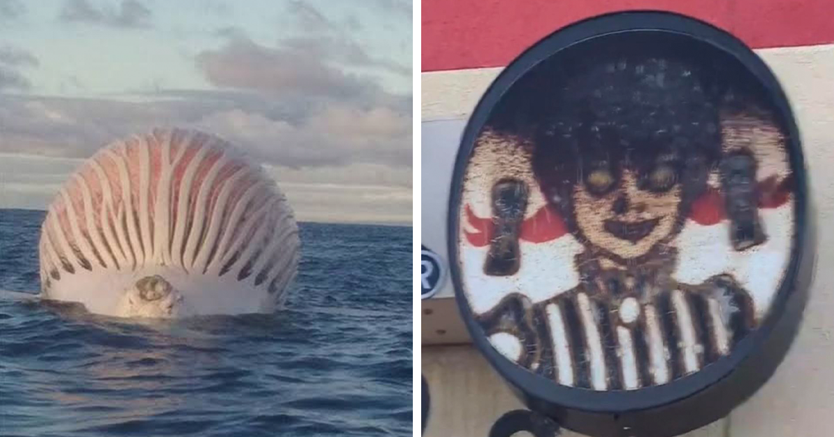 Sarah Carter - Journalist Profile - Intelligent Relations