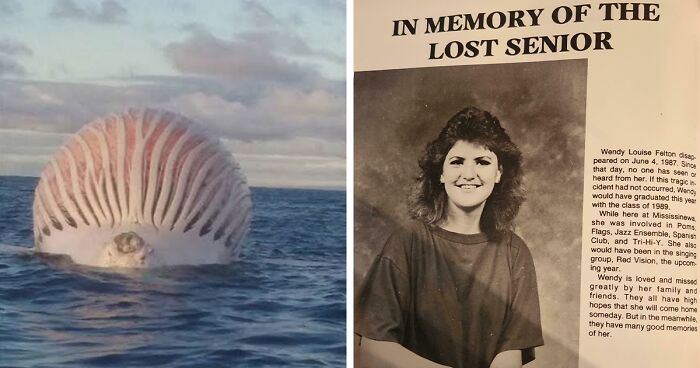 50 “Oddly Terrifying” Posts That Are Not For The Fainthearted (New Pics ...