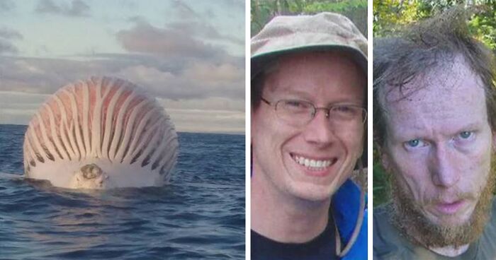 50 “Oddly Terrifying” Posts That Are Not For The Fainthearted (New Pics) | Bored Panda