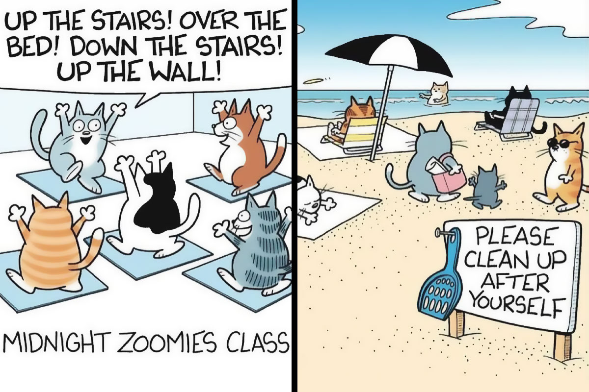 This Artist Sums Up Life With A Cat In His 40 Funny Cartoons | Bored Panda