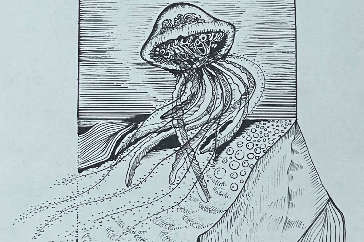 Line By Line: My Collection Of 15 Drawings With Parallel Strokes ...