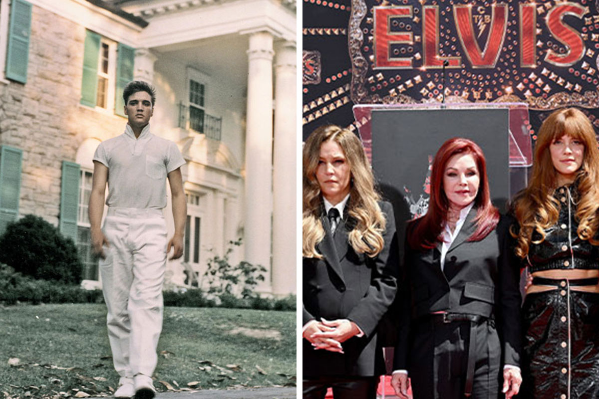 “I’ve Read Some Crazy Scams, But This One Takes The Cake”: Graceland ...