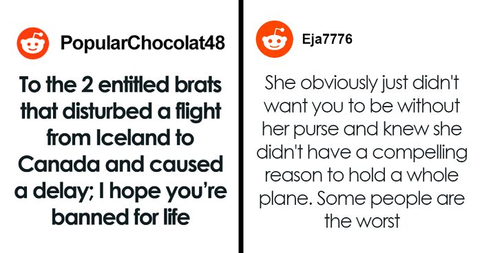 “To The 2 Entitled Brats That Disturbed A Flight”: People Cause Major ...