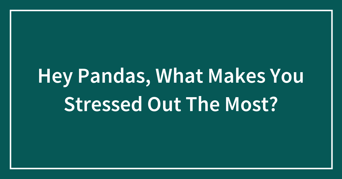 Hey Pandas, What Makes You Stressed Out The Most? (Closed) | Bored Panda