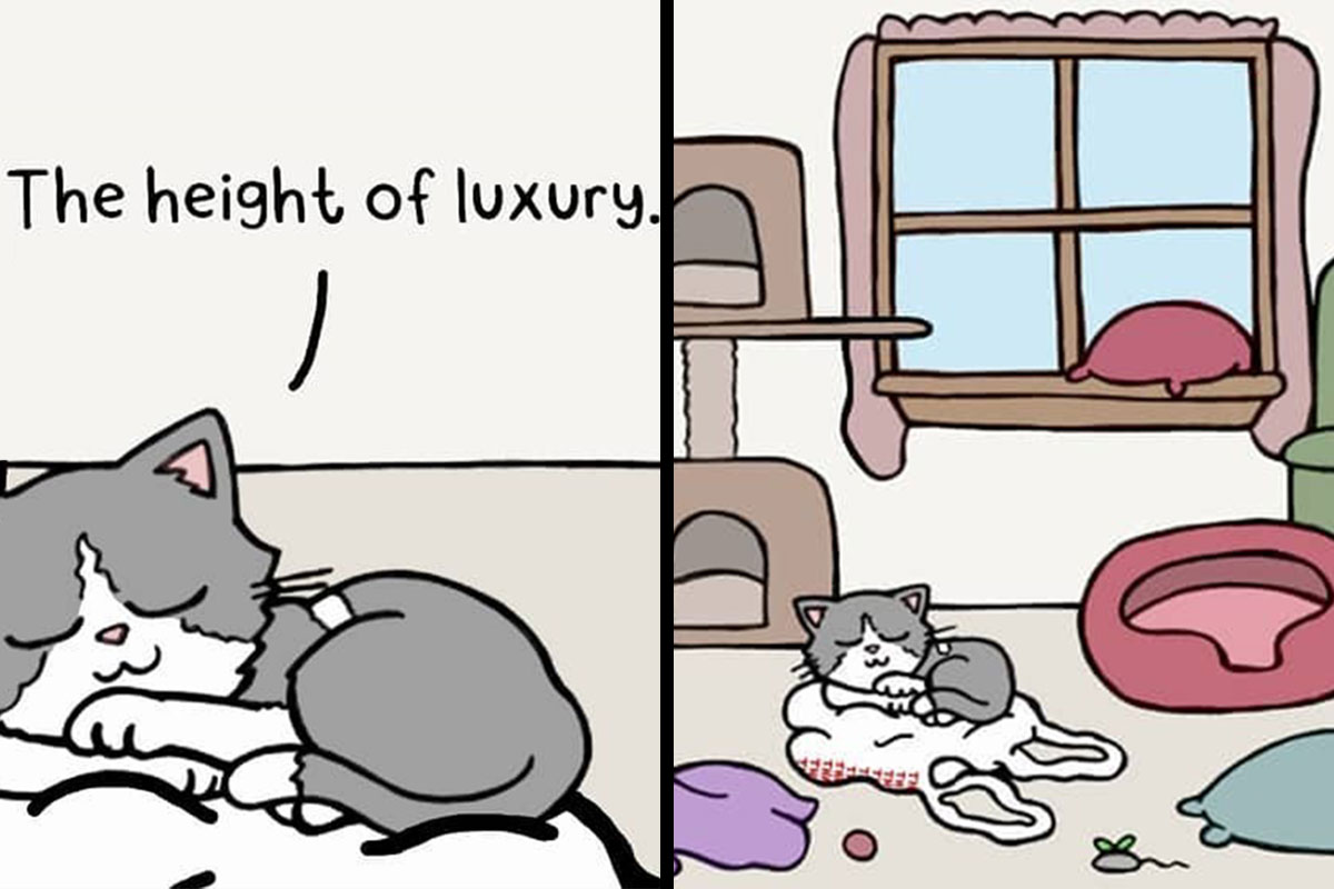 23 Funny And Relatable Comics About Relationships And Living With Cats ...