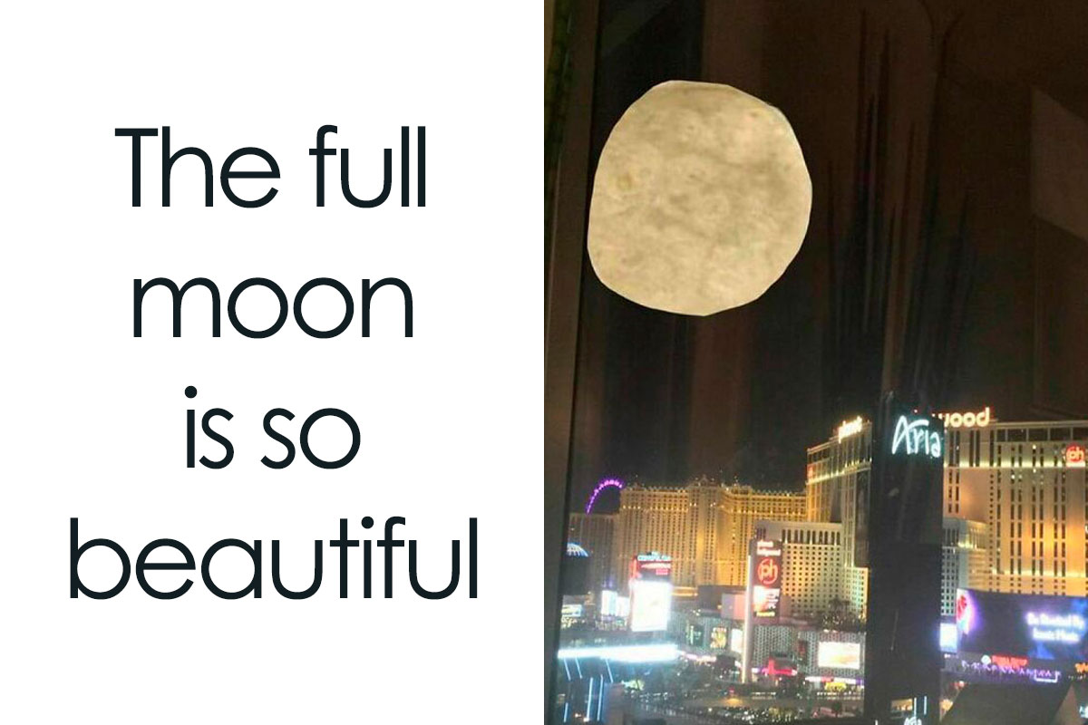 ‘Boys Who Can Cook’: 30 Hilariously Random Food Memes (New Pics ...