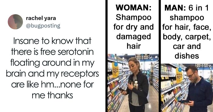 50 Hilariously Random Memes About Everything And Anything | Bored Panda