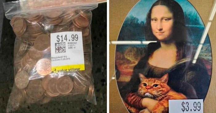 50 Times Thrift Shops Delivered Comedy Gold, As Shared By “Ridiculous ...
