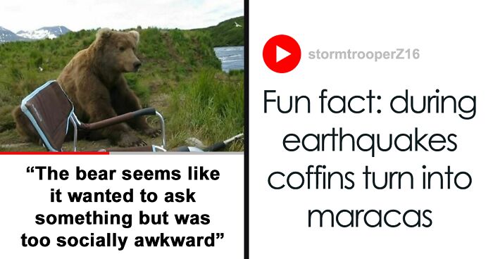 50 Hilarious YouTube Comments That Were Celebrated On This Instagram ...