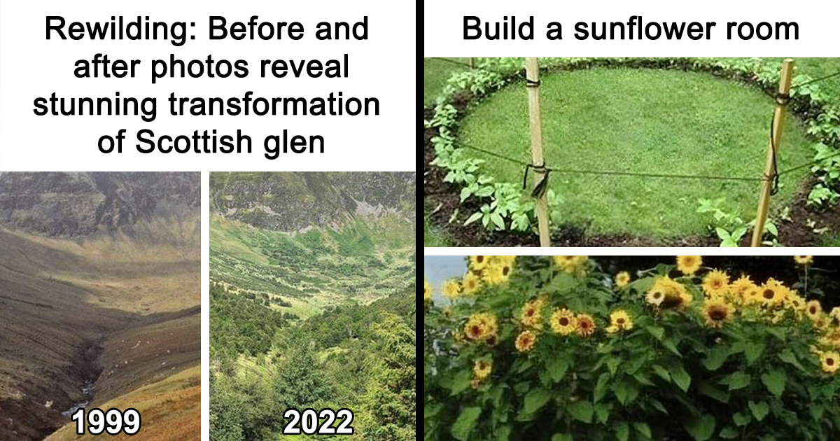 This Group Unites All Plant Lovers And Shares The Most Hilarious ...