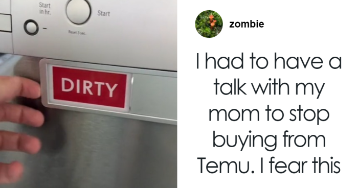 People Hilariously Document The Evidence That Their Parents Are “Temu ...