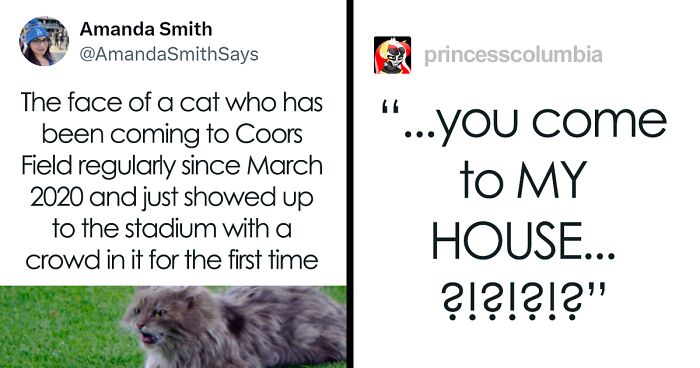 50 Of The Best Posts That Have Ever Been Shared On Tumblr | Bored Panda