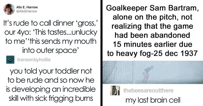 50 Of The Best Posts That Have Ever Been Shared On Tumblr | Bored Panda