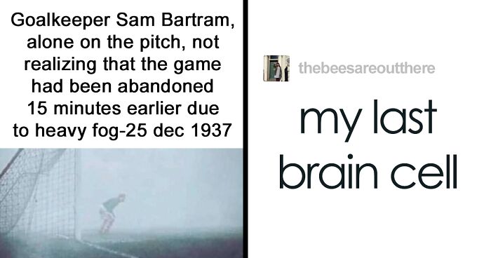 50 Of The Best Posts That Have Ever Been Shared On Tumblr | Bored Panda