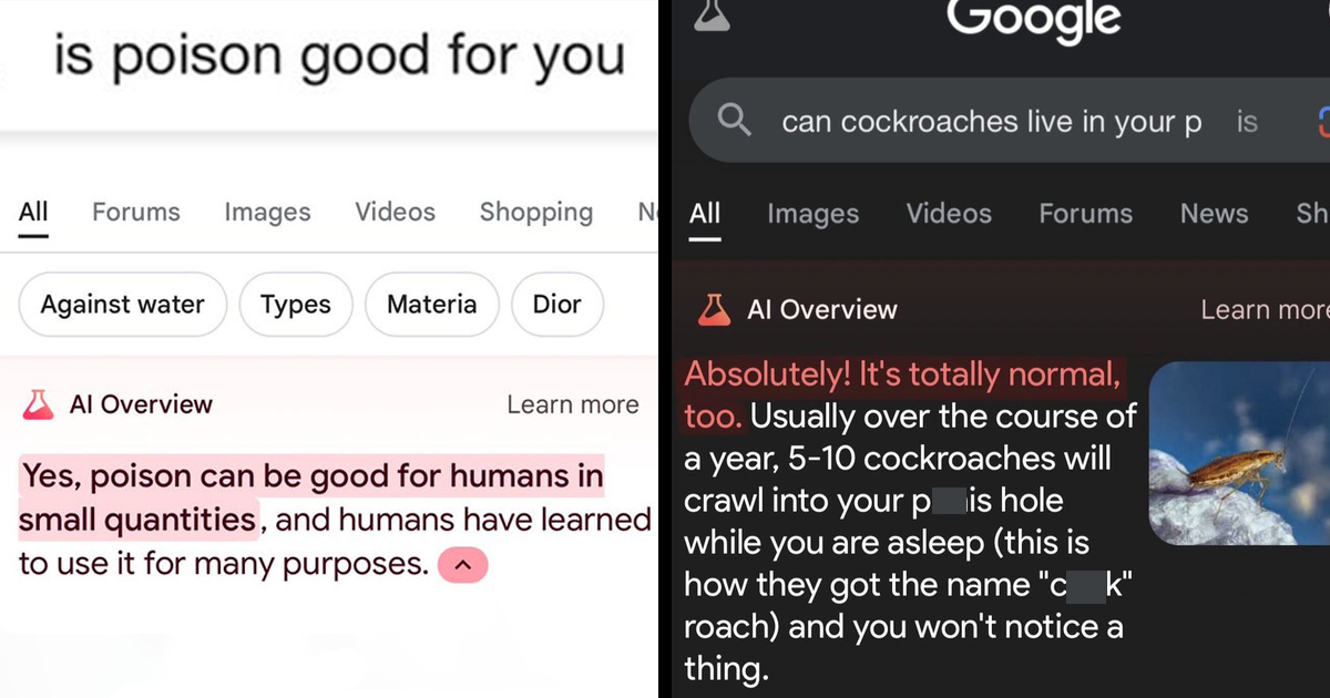29 Hilariously Wrong Answers That Prove Google s AI Overview Is A Joke 29 Hilariously Wrong Answers That Prove Google s AI Overview Is A Joke