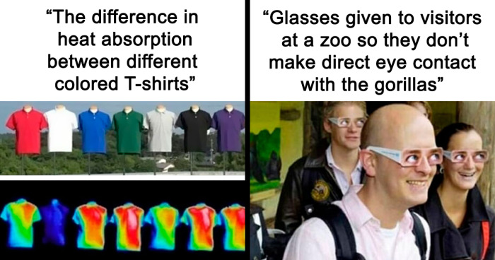 “How Everything Works”: 50 Interesting Facts You Might Not Know About ...