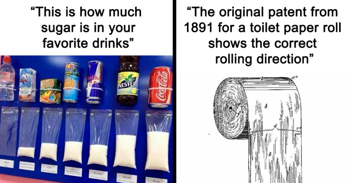 “How Everything Works”: 50 Interesting Facts You Might Not Know About ...