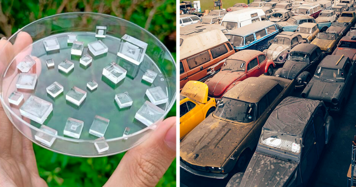 50 People Share Their Extraordinary Collections Of Items Many Would Not ...