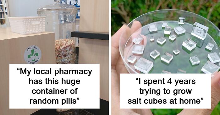 50 People Share Their Extraordinary Collections Of Items Many Would Not ...