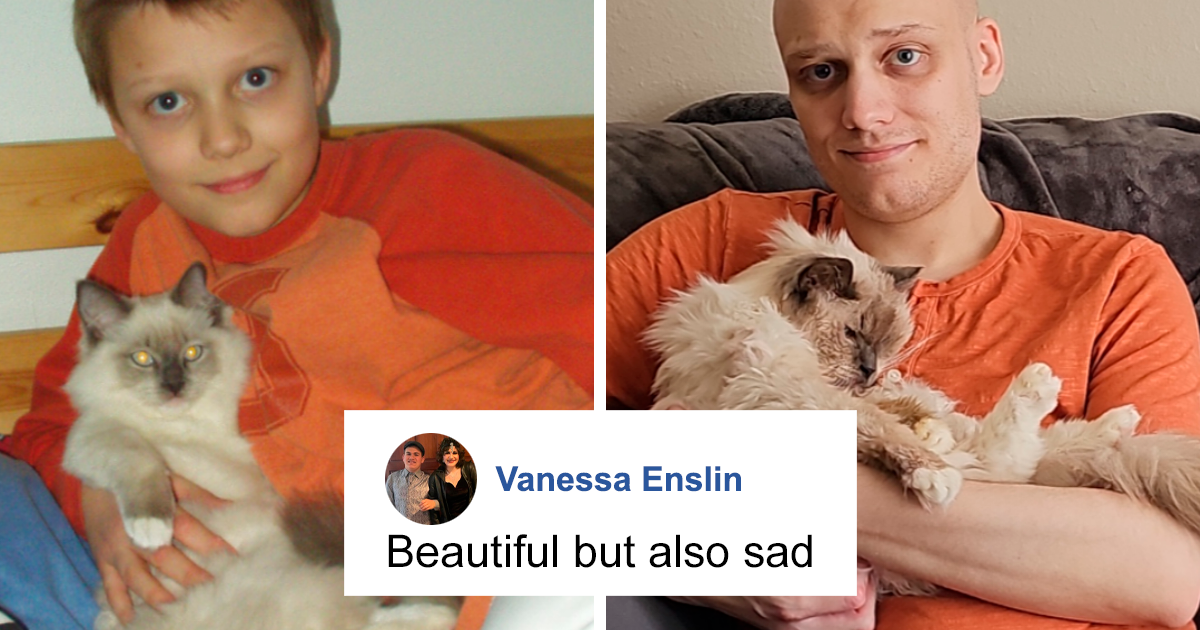 “I’m Gonna Go Cry”: Man’s Photo Recreation With Late Childhood Cat Has ...