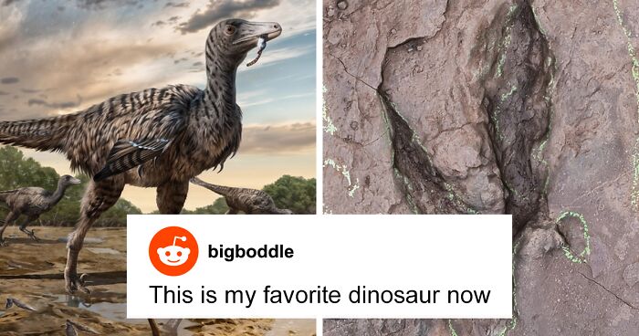 Scientists “Flabbergasted” By Recent Raptor Discovery In China | Bored ...