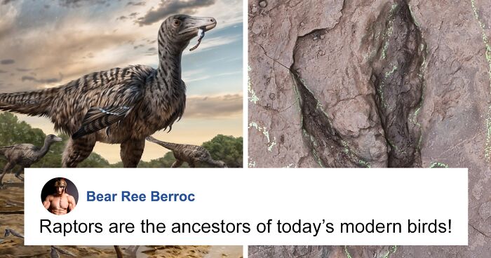 Scientists “Flabbergasted” By Recent Raptor Discovery In China | Bored ...