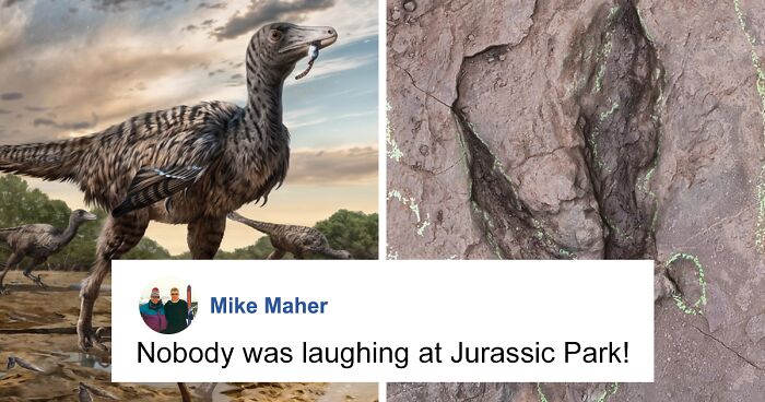 Scientists “Flabbergasted” By Recent Raptor Discovery In China | Bored ...