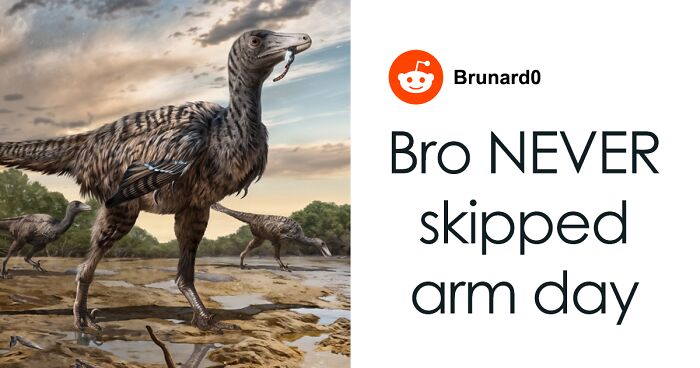 Scientists “Flabbergasted” By Recent Raptor Discovery In China | Bored ...