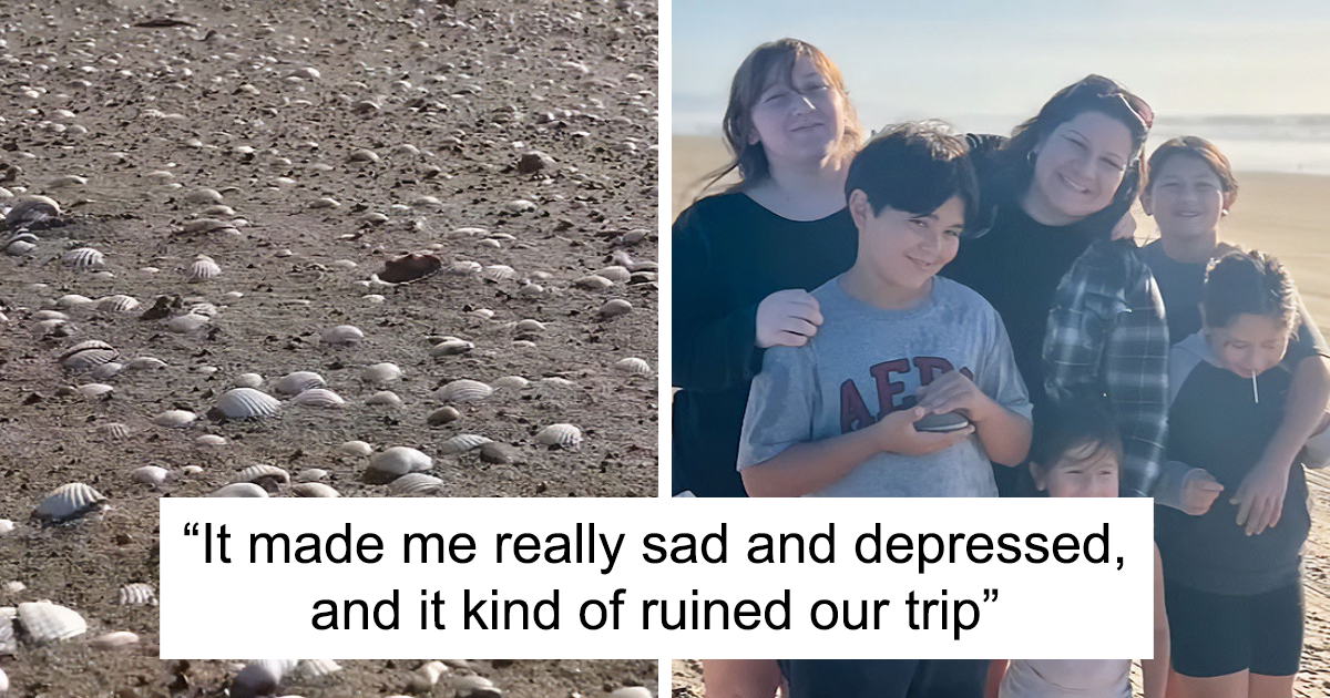 “It Ruined Our Trip”: Mom Fined $88k After Kids Pick Up 72 Clams ...