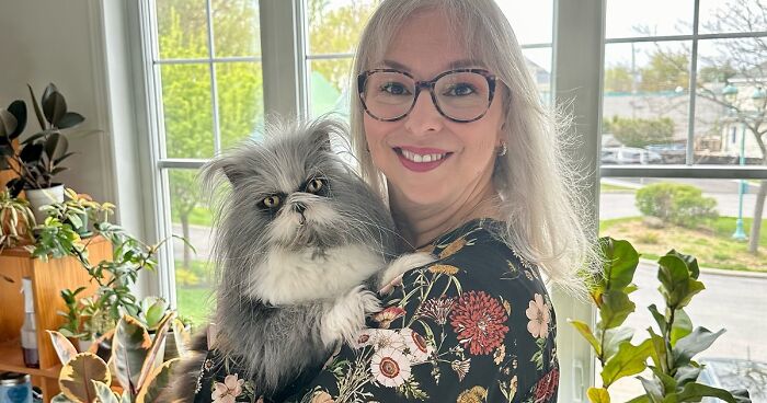 Fluffiest Of Them All: This Werewolf Cat Is Winning Hearts Worldwide ...