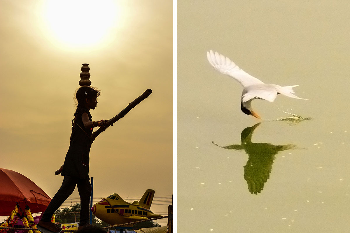 Extraordinary In Ordinary: 30 Powerful Moments That I Captured In ...