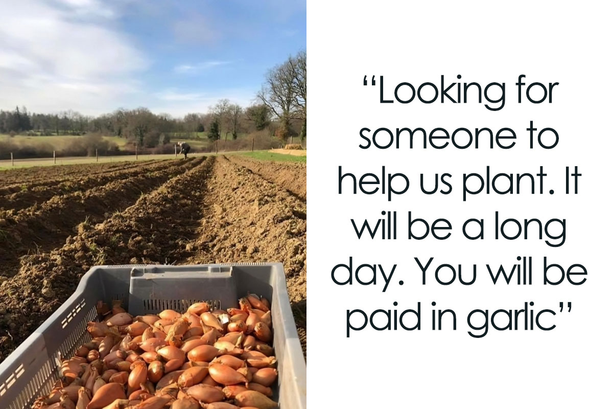 35 Times Beggars Tried To Be Choosers And The Internet Called Them Out ...