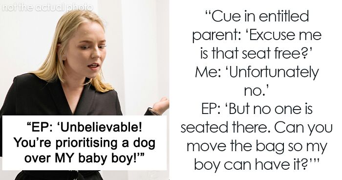 Parent Wants Service Dog Moved For “Baby Boy’s” Window Seat, Gets A ...