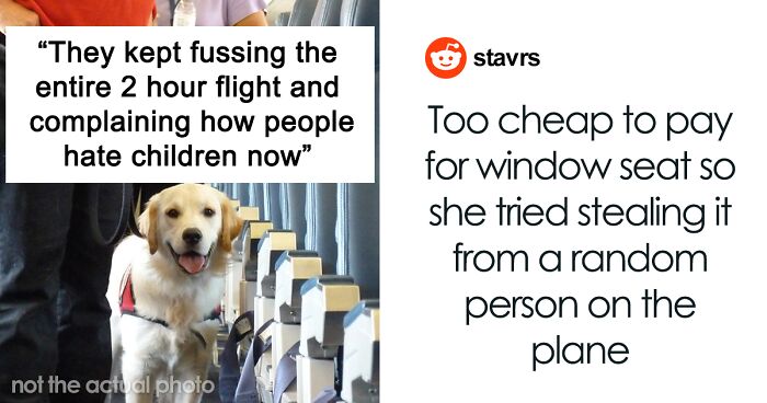 Parent Wants Service Dog Moved For “Baby Boy’s” Window Seat, Gets A ...