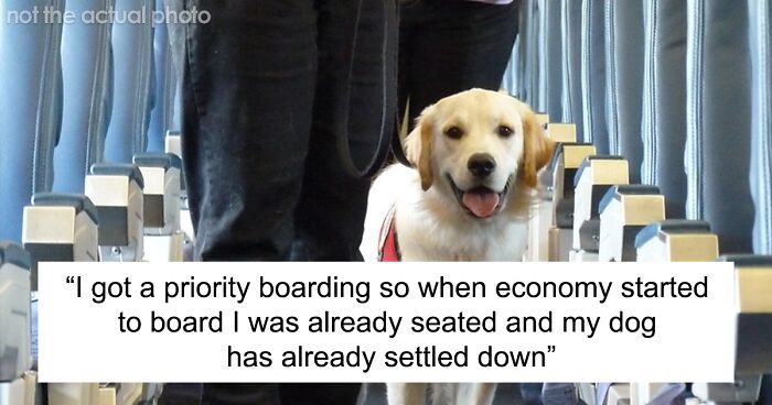 Parent Wants Service Dog Moved For “Baby Boy’s” Window Seat, Gets A ...