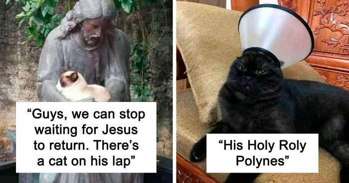 50 Hilariously Blessed Pics That Prove That Cats Are Godsent | Bored Panda