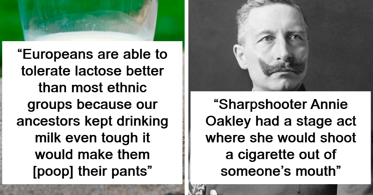 History Enthusiasts Are Sharing History Facts That Many People Would ...