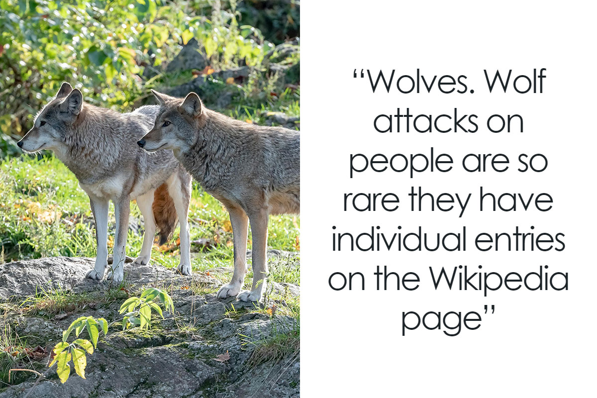 People Share 31 Things That Seem Dangerous But Actually Aren’t That Bad ...