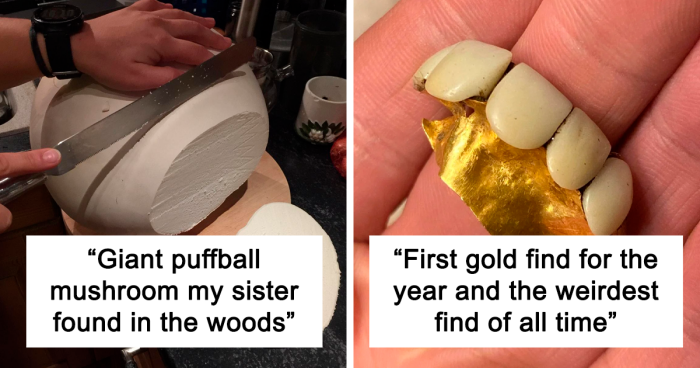 50 Of The Most Interesting And Bizarre Things People Have Found In The ...