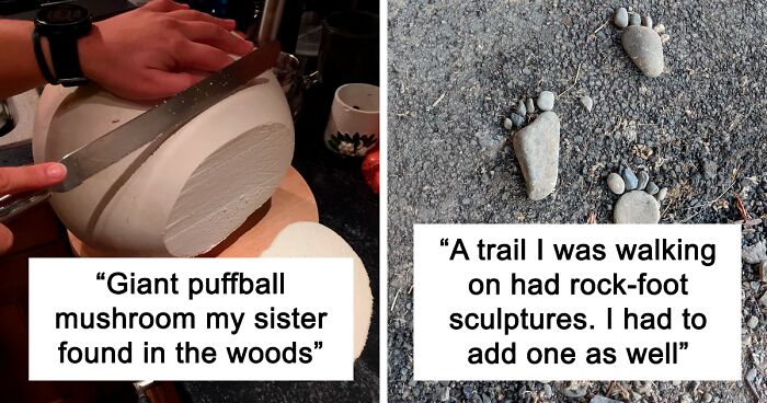 50 Of The Most Interesting And Bizarre Things People Have Found In The ...