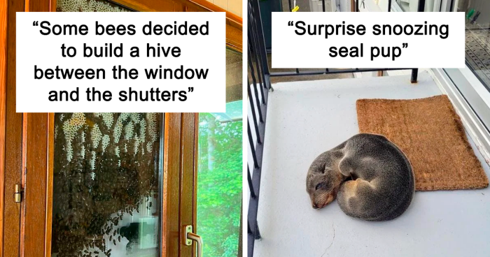 These People Had Heartwarming Wildlife Encounters And Had To Share Them ...