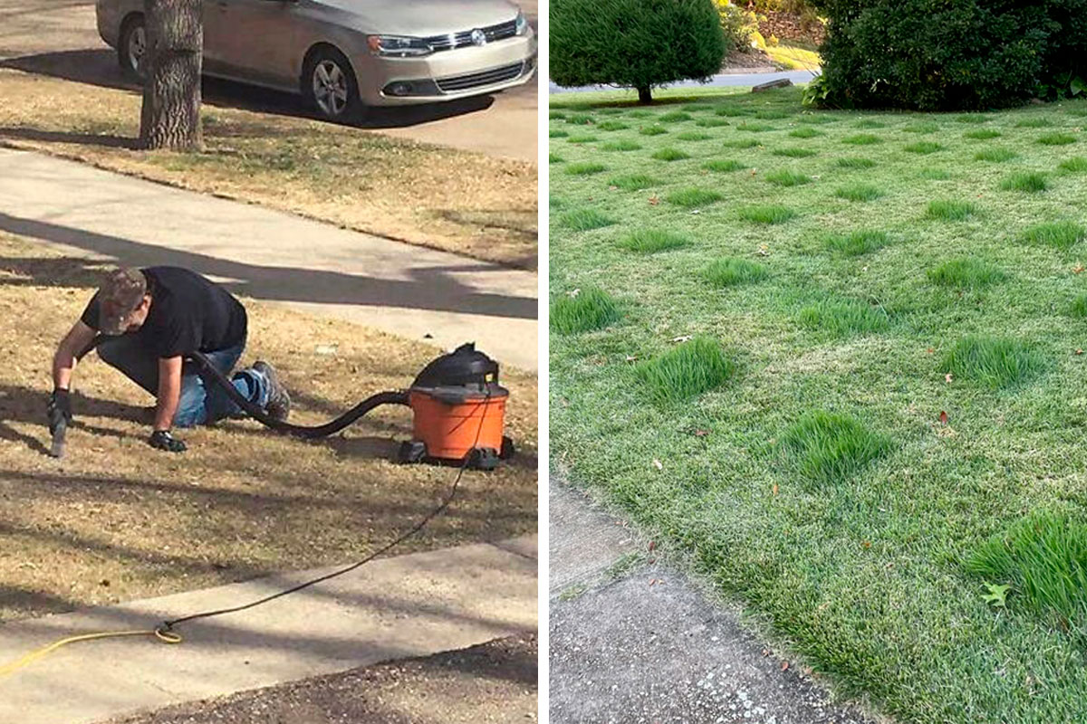 50 Times People Felt Pure Joy Living Next Door To Their Funny Neighbors ...